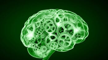 The science behind adolescent autonomy - Prostasia Foundation